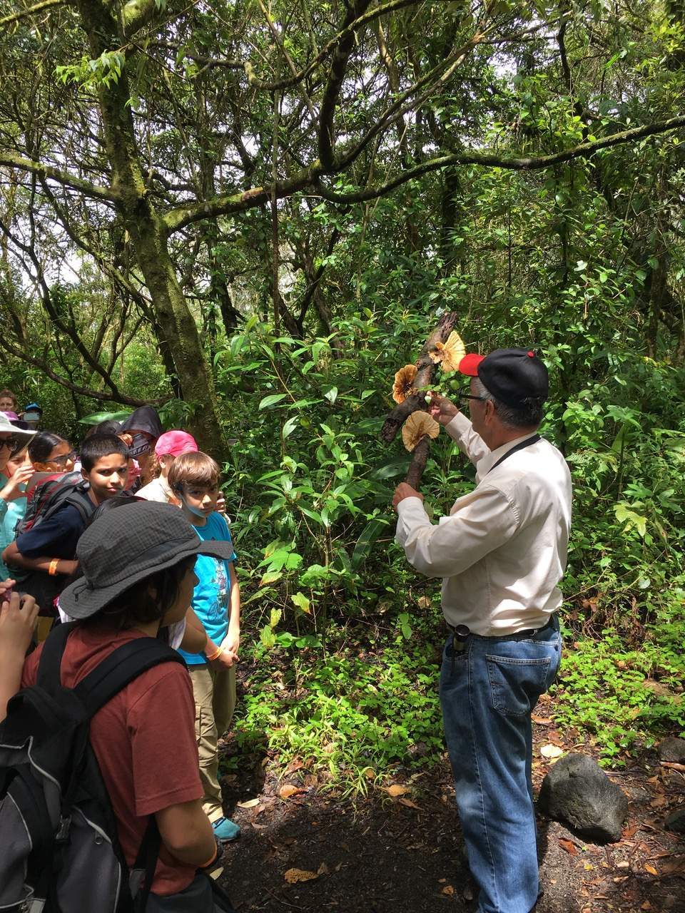 In Memoriam | Leatherback