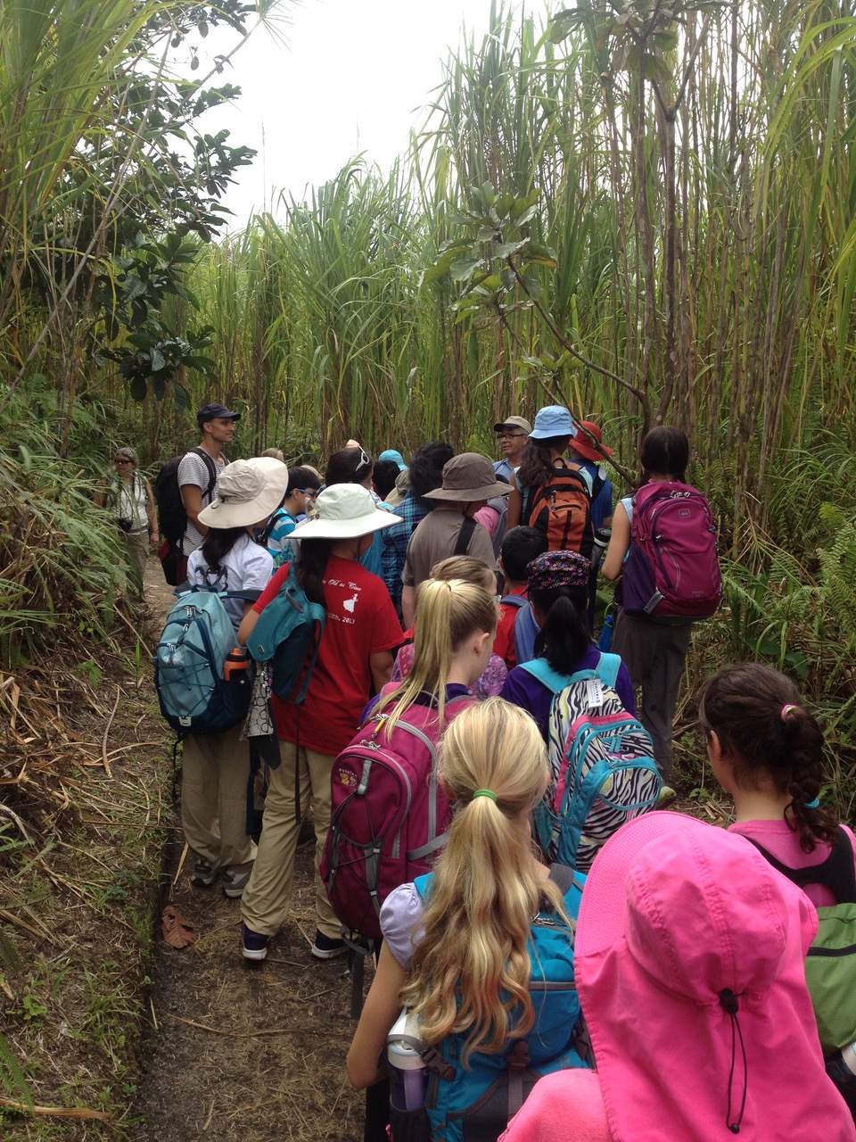 In Memoriam | Leatherback