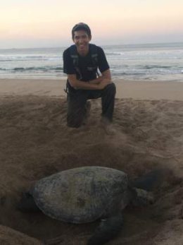 Meet Our Field Biologists: Collin Hertz | Leatherback
