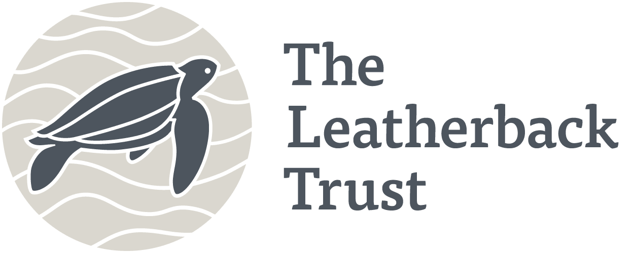 How We Do It | Leatherback